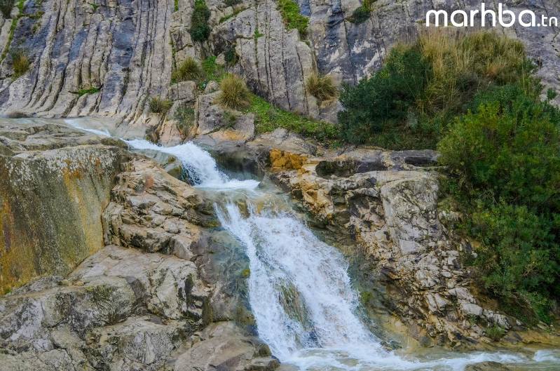 Hors des sentiers battus: Oued Zitoun by Marhba.tn